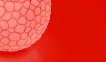 Exclusive Design Collections – artemidestore.com